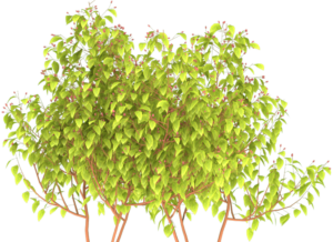 Gamefresco - The ultimate source for free game assets