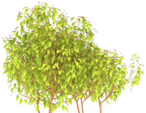 Gamefresco - The ultimate source for free game assets