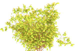 Gamefresco - The ultimate source for free game assets