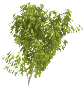 Gamefresco - The ultimate source for free game assets